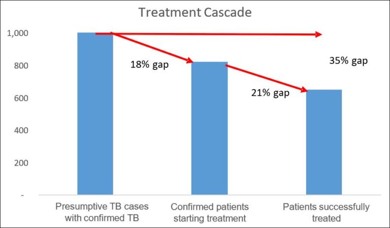 Using Cascades for Analyzing and Understanding the Success of ...